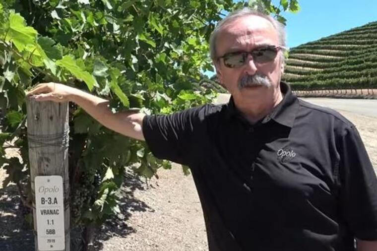 Božidar iz Hercegovine u Americi zaradio bogatstvo: Slavi Aranđelovdan ...